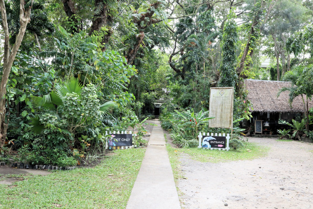 Zoos in Bacolod: Negros Forests and Ecological Foundation Biodiversity ...