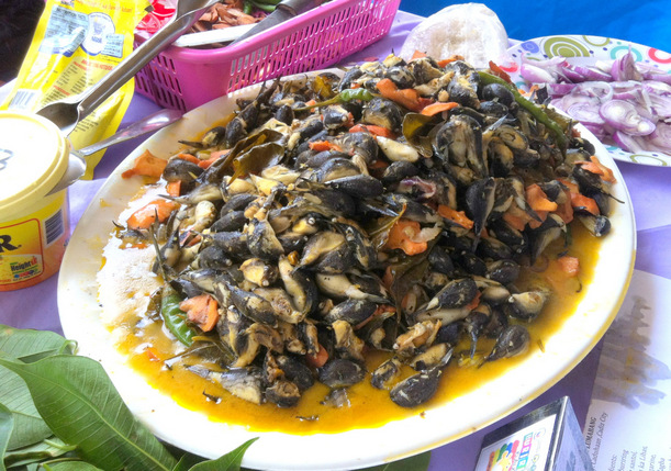 Cadiz City’s first Buriring (Puffer fish) Festival! – The Bacolod Food ...
