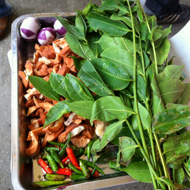 Cadiz City’s first Buriring (Puffer fish) Festival! – The Bacolod Food ...