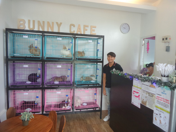 MM’s Bunny Café: The Philippines’ first Rabbit themed cafe. – The ...