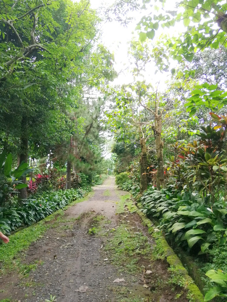 Relax and enjoy nature at Guerrero Farm and Nature Park – The Bacolod ...