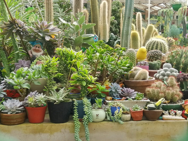 Relax and enjoy nature at Guerrero Farm and Nature Park – The Bacolod ...