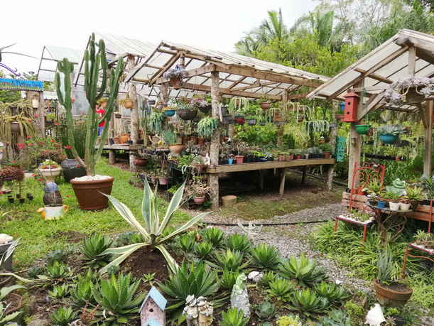 Relax and enjoy nature at Guerrero Farm and Nature Park – The Bacolod ...