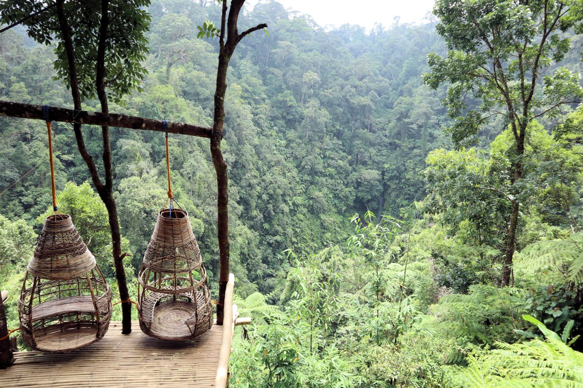 Pugad Viewing Deck: Awesome view of a Rainforest, waterfall and Valley ...