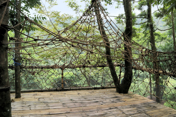 Pugad Viewing Deck: Awesome view of a Rainforest, waterfall and Valley ...